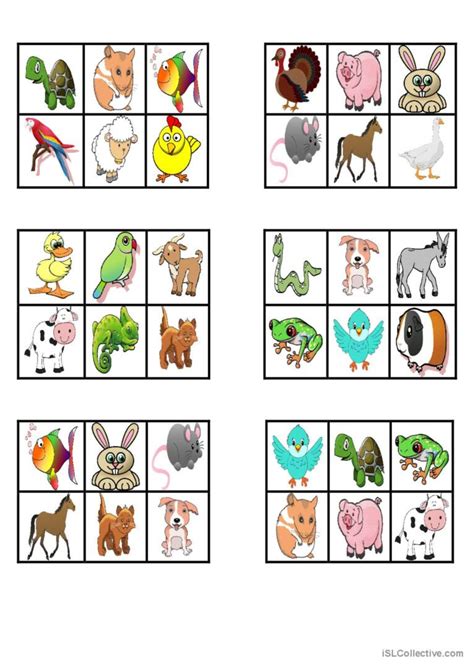 PETS Bingo Français FLE fiches pedagogiques pdf doc
