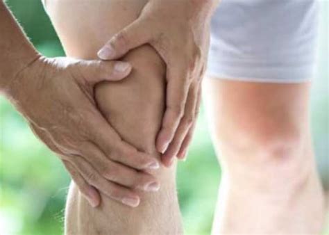 Alami Dan Ada Di Sekitar Kita Berikut Tanaman Berkhasiat Obat Asam Urat