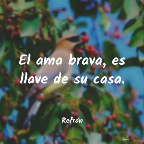 Introducir 78 Imagen Frases De Volver A Casa Abzlocal Mx