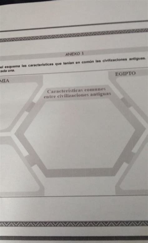 Escribe En El Centro Del Esquema Las Caracter Sticas Que Ten An En