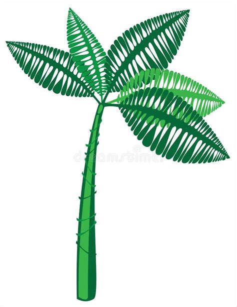 Palmera aislada en blanco ilustración del vector Ilustración de egipto