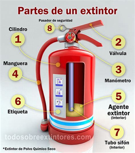 Fuera De Servicio Duquesa Instituto Cuales Son Las Partes De Un