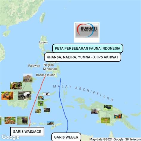 PETA PERSEBARAN FAUNA INDONESIA Scribble Maps