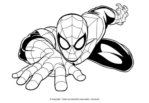 Los Mejores Dibujos De Spiderman Para Colorear Todo Para Colorear