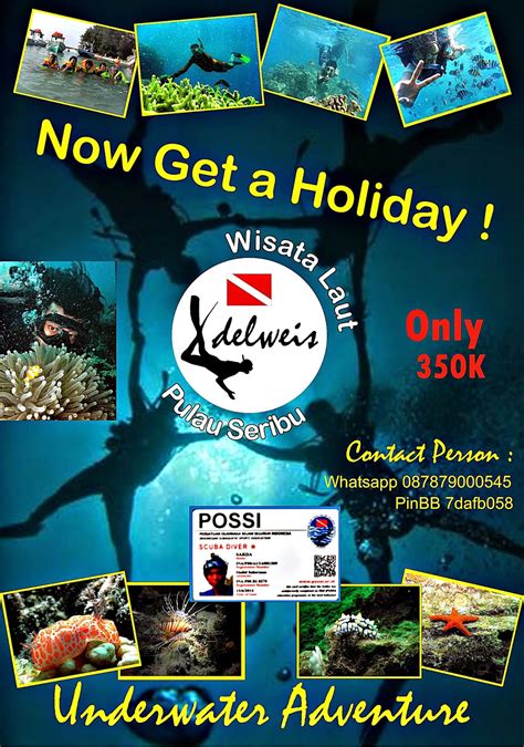 Wisata Laut Pulau Pramuka Brosur Wisata Laut Pulau Pramuka