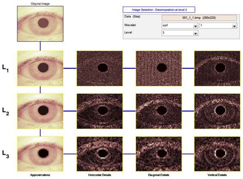 iris recognition approach for identity verification with dwt and multiclass svm [peerj]