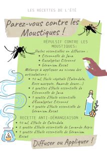 Recette Anti Moustiques Naturelle