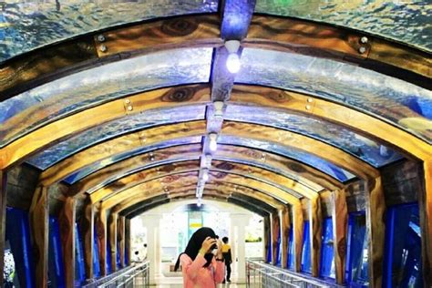 Yuk Jalan Jalan Ke Aquarium Raksasa Purbasari Pancuran Mas Purbalingga