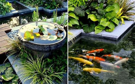 Estanques DIY de diseño minimalista para peces Koi