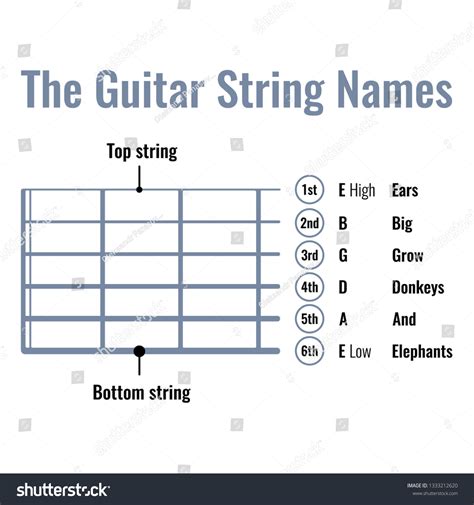 Guitar String Names Vector Illustration Isolated Stok Vekt R Telifsiz
