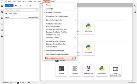Posit Workbench User Guide JupyterLab Settings