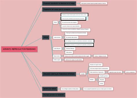 Mapas Mentales Aparato Reproductor Femenino Descargar