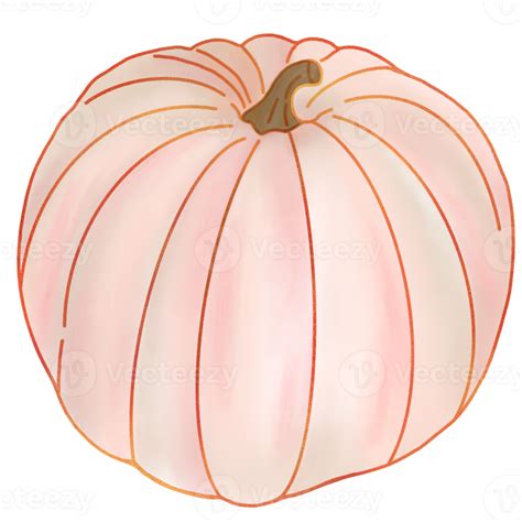 Pink Pumpkin Watercolor 10260207 PNG