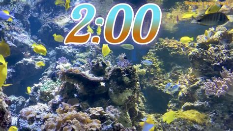 2 Minute Aquarium Timer Countdown With Relaxing Music Cuenta