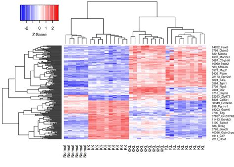 Next Generation Sequencing Rnaseq Data Analysis Part Alex Romanko