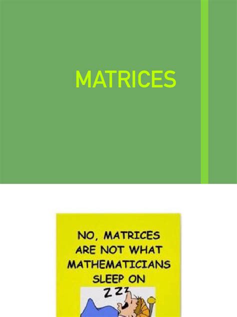 matrices part 1 pdf matrix mathematics functions and mappings