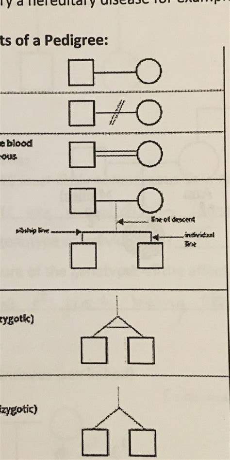 Pedigree Symbols Diagram Quizlet