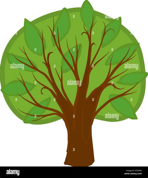 Dibujo De Un Arbol Con Ramas