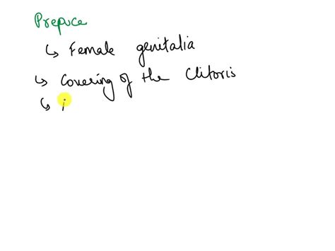 Solved Which Structure Is Highlighted Multiple Choice Prepuce Corpus