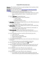 Virtual Dna Extraction Lab Key Pdf Virtual Dna Extraction Lab