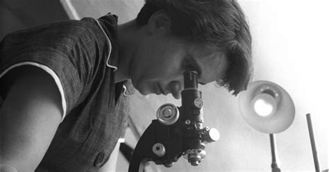 Os 17 Maiores Cientistas Do Mundo E Suas Descobertas Mais
