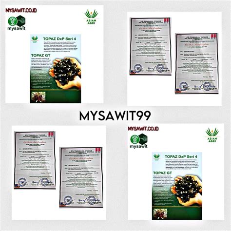 Jual BIBIT BENIH KECAMBAH KELAPA SAWIT TOPAZ PT ASIAN AGRI BERKUALITAS