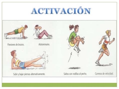 EDUCACION FISICA FASES DE CALENTAMIENTO