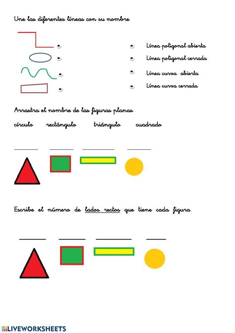 Las líneas curvas y rectas las figuras planas Ficha interactiva Pie