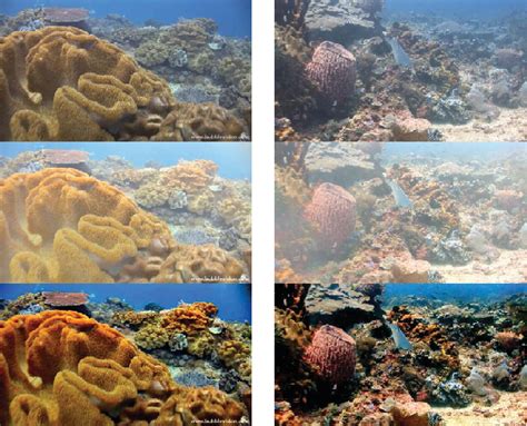 a deep cnn method for underwater image enhancement semantic scholar