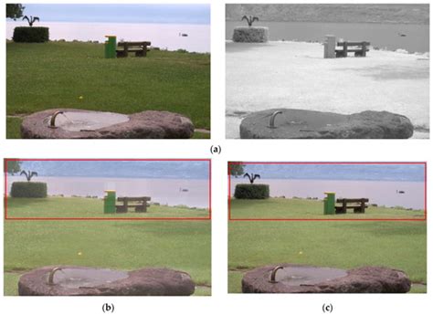 entropy free full text tone image classification and weighted learning for visible and nir