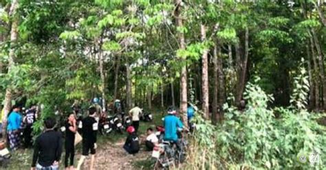 Dẫn bé gái vào rừng xem bẫy thú nổi thú tính giở trò đồi bại