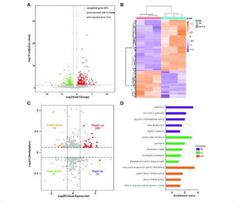 Conjoint Analysis Of MeRIP Seq And RNA Seq Data A Volcano Plots