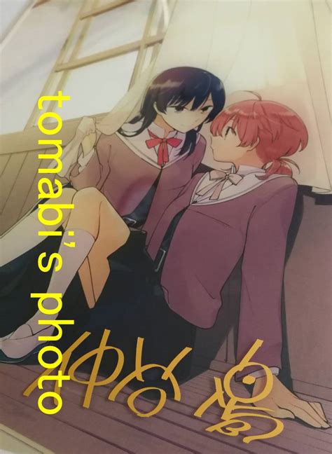 やがて君になる 画集 アストロラーベ 箔押し複製サイン入り A4 アクリルパネル メロンブックス 限定 特典 仲谷鳰 やが君 コミックアニメ