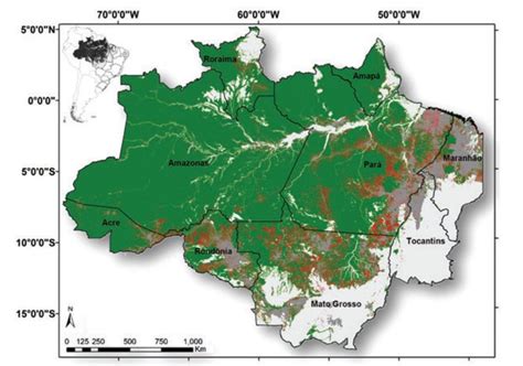 Décrypter 99 imagen carte déforestation amazonie avant après fr