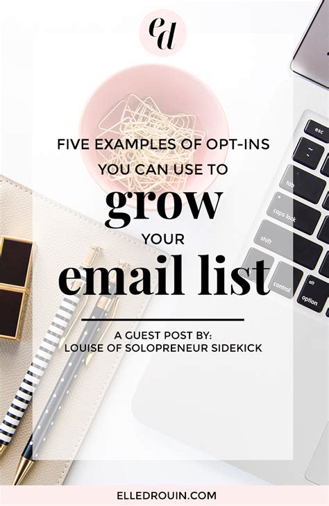 Examples Of Opt Ins You Can Use To Grow Your Email List Elle Drouin