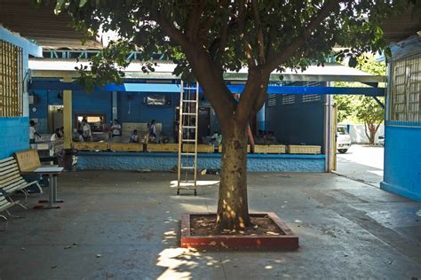 Prefeitura De Pereira Barreto Realiza Obras De Melhorias Em Escolas Do