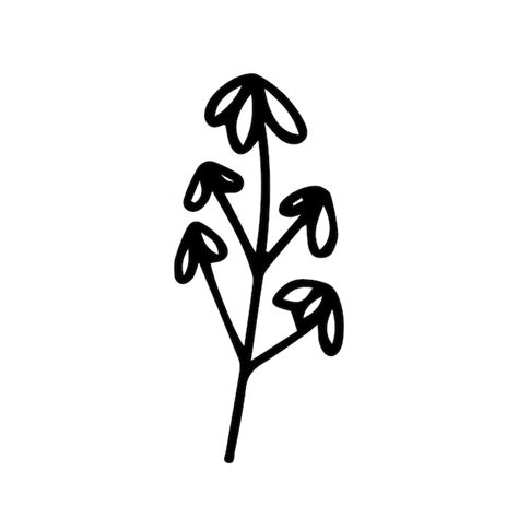 Premium Vector Doodle Chamomile Vector Illustration Hand Drawn Wild