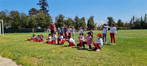 Inicio De Talleres Acle Colegio San Carlos De Arag N