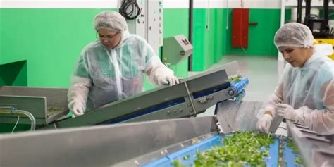 Mengenal Biaya Produksi Unsur Jenis Dan Cara Menghitungnya Akurat