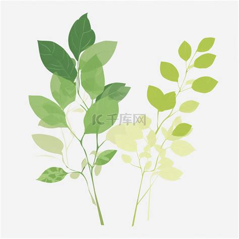 夏季绿色小清新植物叶子素材图片免费下载 千库网