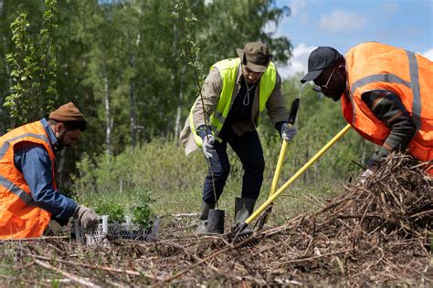 México tiene el programa de reforestación más importante del mundo