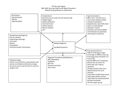 Free Nursing Concept Map Template Microsoft Word
