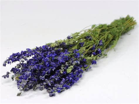 Droogbloemen Droogbloemen Kopen Decofleur