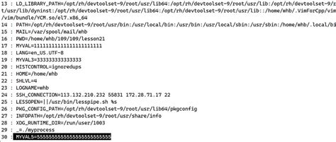模拟实现一个linux中的简单版shell 设计和实现一个模拟bash 的shell实现 要求支持cd和pwd命令 支持程序执行、路径解 csdn博客
