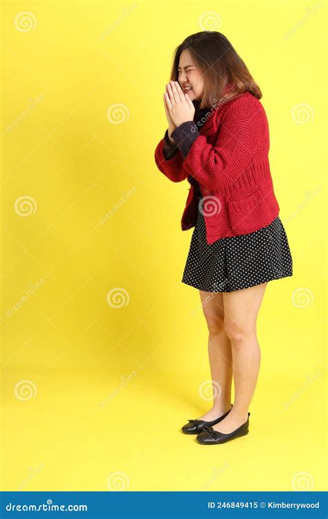 Chubby Asian Woman Stock Image Image Of Asian Lifestyle 246849415