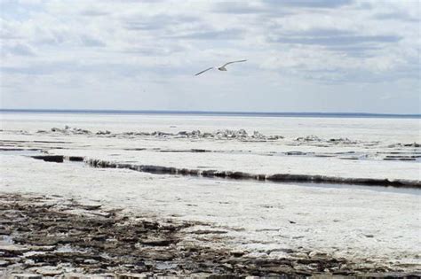 Por qué el Mar Blanco se llama así Descúbrelo aquí