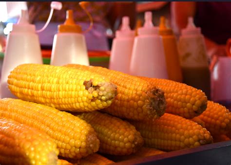 INICIAN ACTIVIDADES DE LA FERIA DEL ELOTE EN TESISTÁN Jalisco Noticias