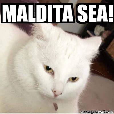 Meme Personalizado Maldita Sea 30930969