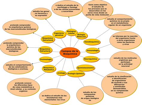 Bioquímica Celular Mapa Mental SOLOLEARN