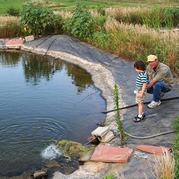 Fixing A Leaky Pond Artofit